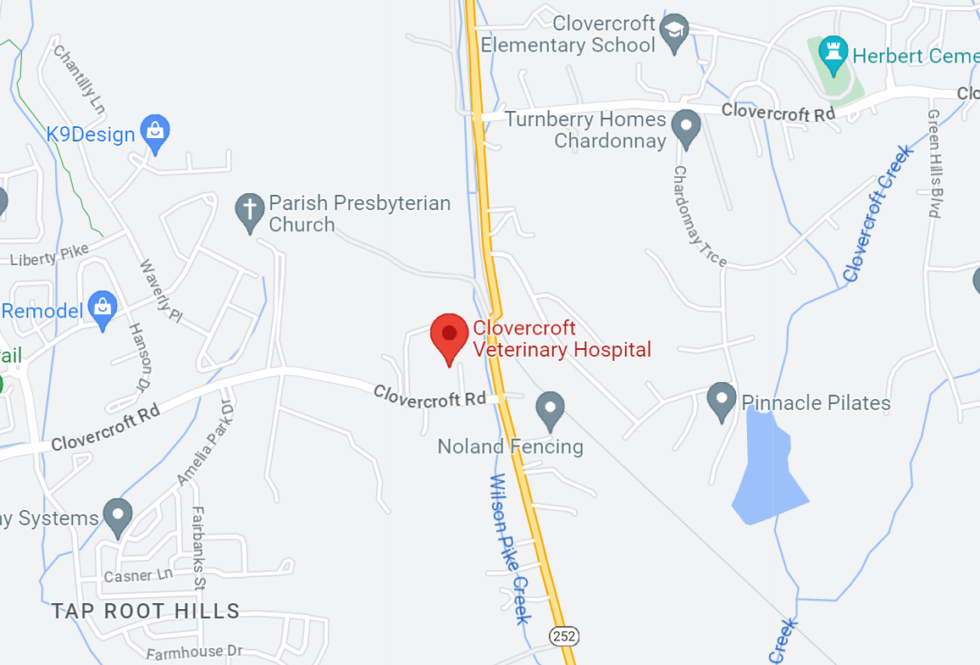 Veterinarian In Franklin, TN | Clovercroft Vet Hospital